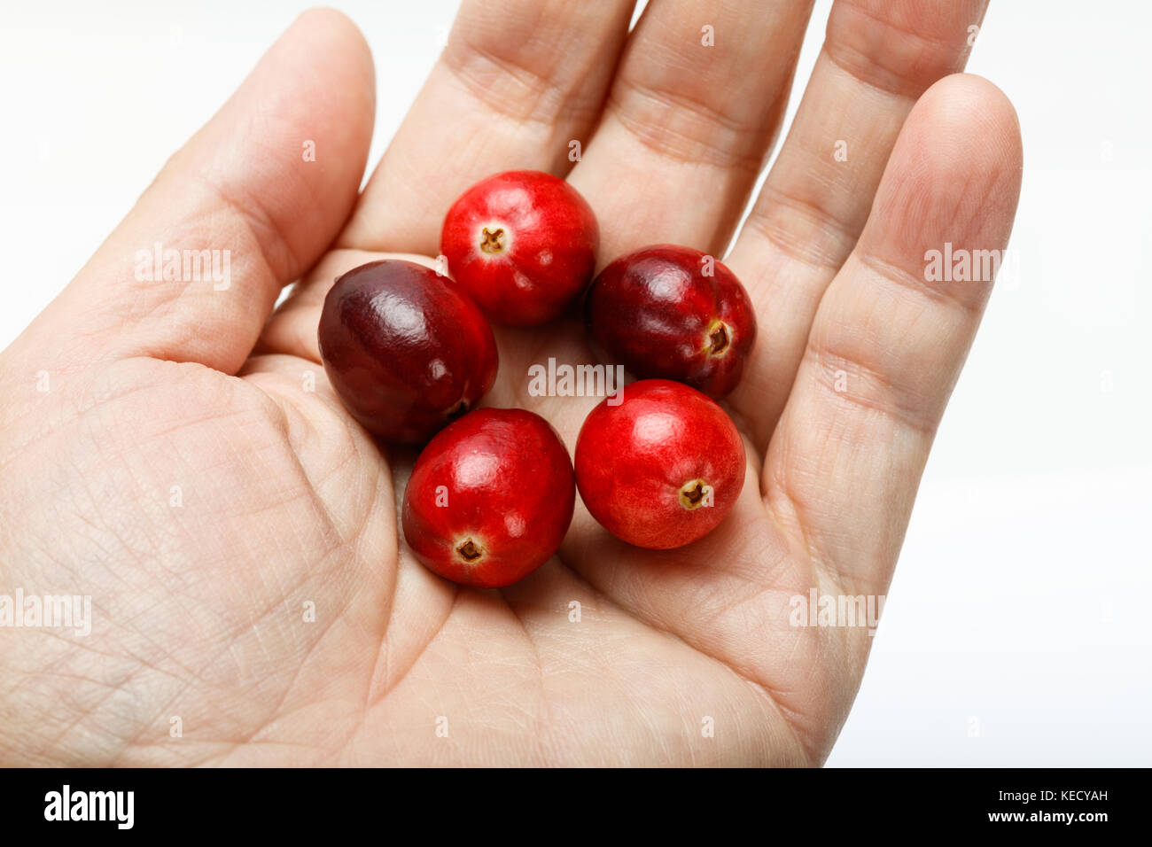 Red fresh raw cranberry isolated on white background. produce at bc ...