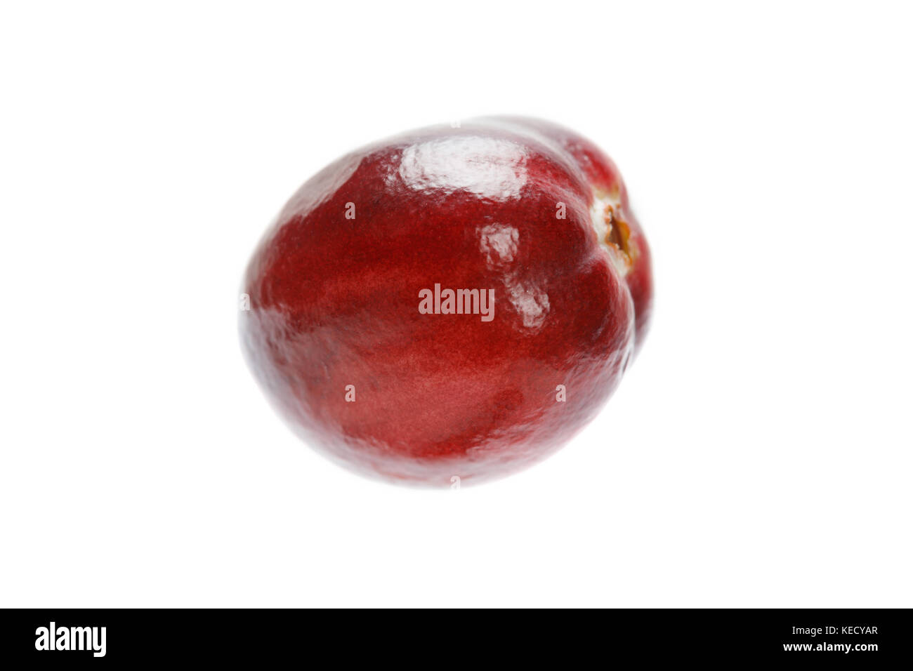Red fresh raw cranberry isolated on white background Stock Photo - Alamy