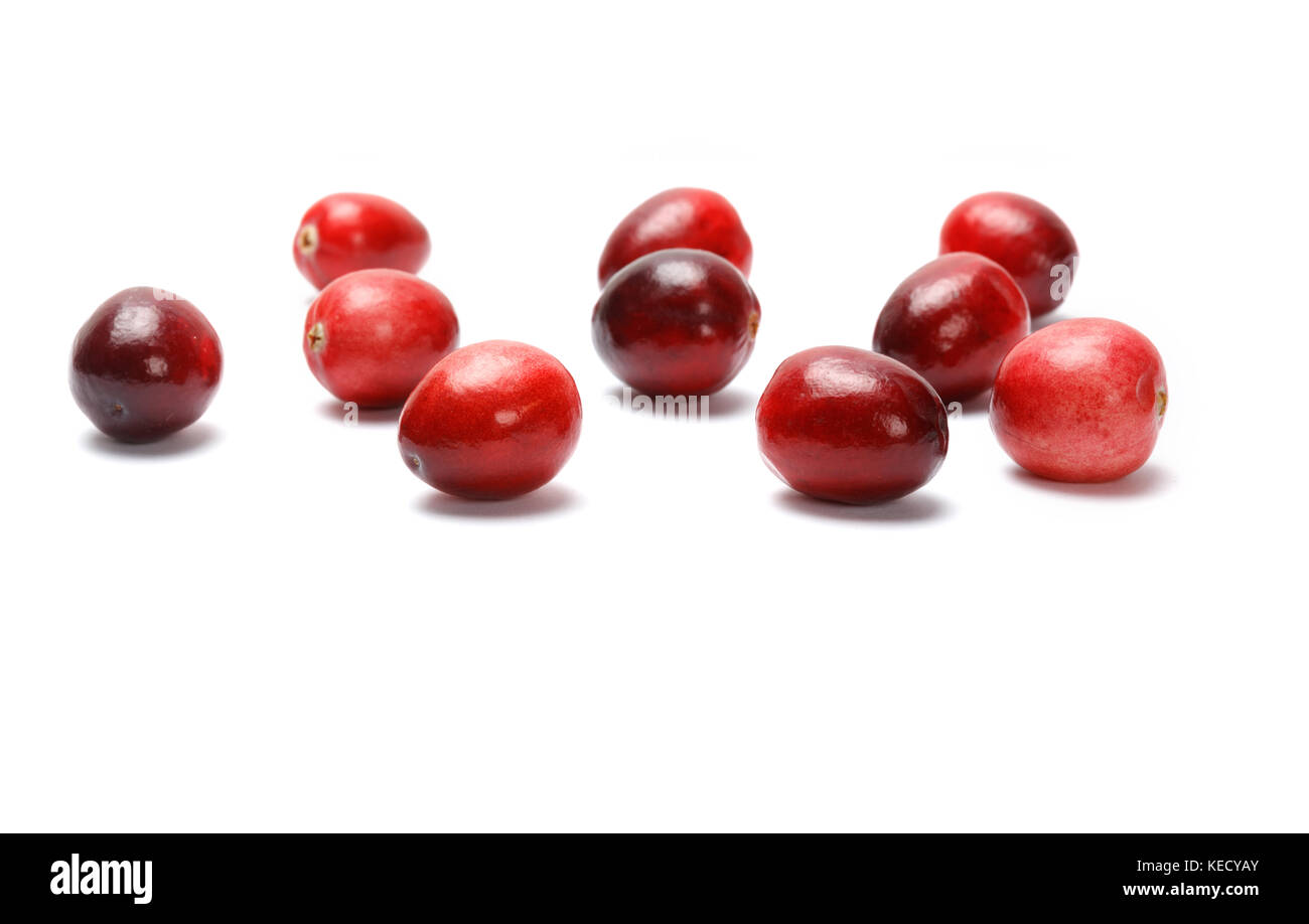 Red fresh raw cranberry isolated on white background. produce at bc ...