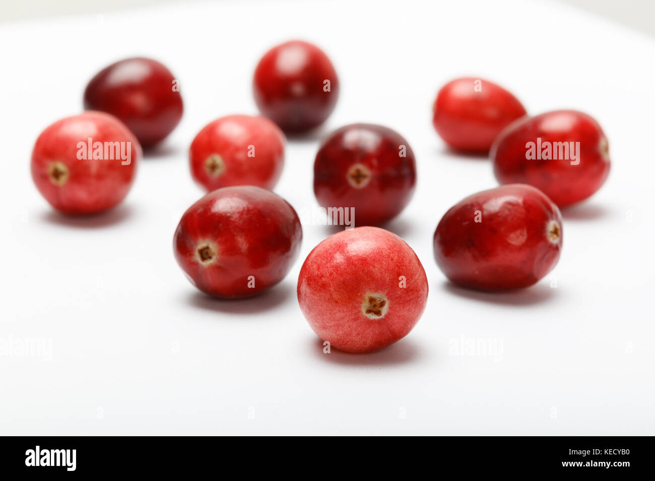Red fresh raw cranberry isolated on white background. produce at bc ...