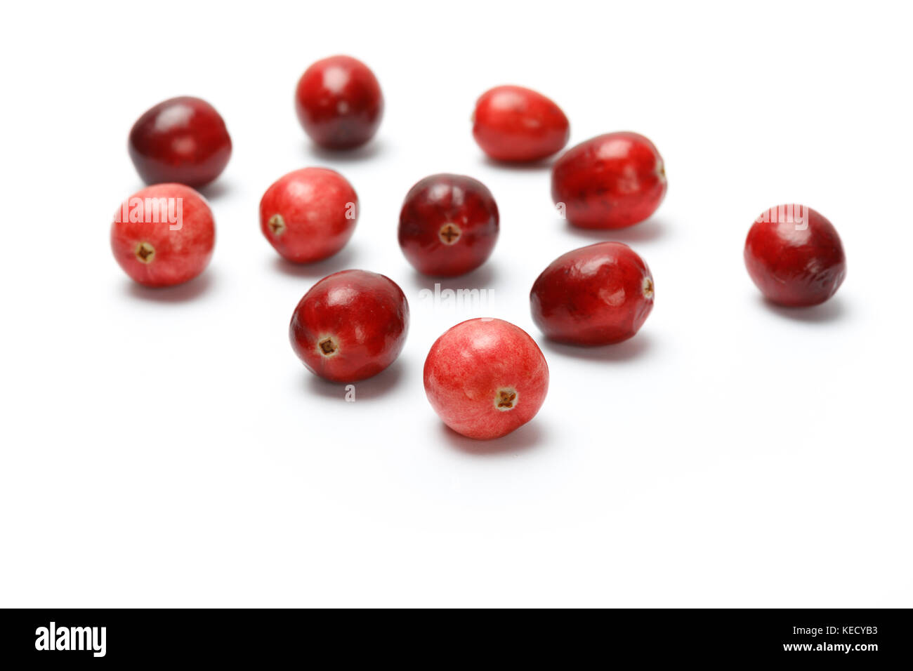 Red fresh raw cranberry isolated on white background. produce at bc ...