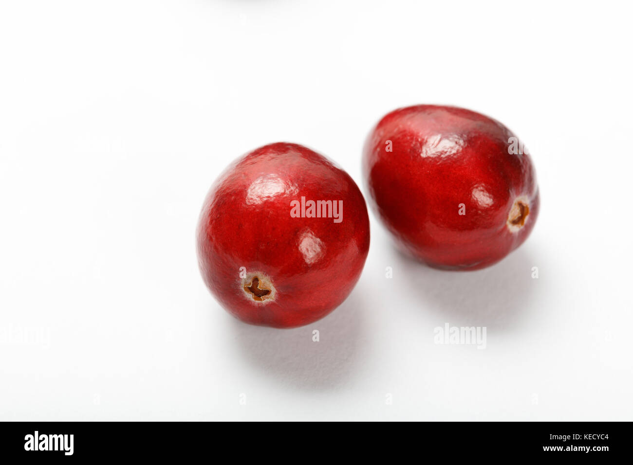 Red fresh raw cranberry isolated on white background. produce at bc ...