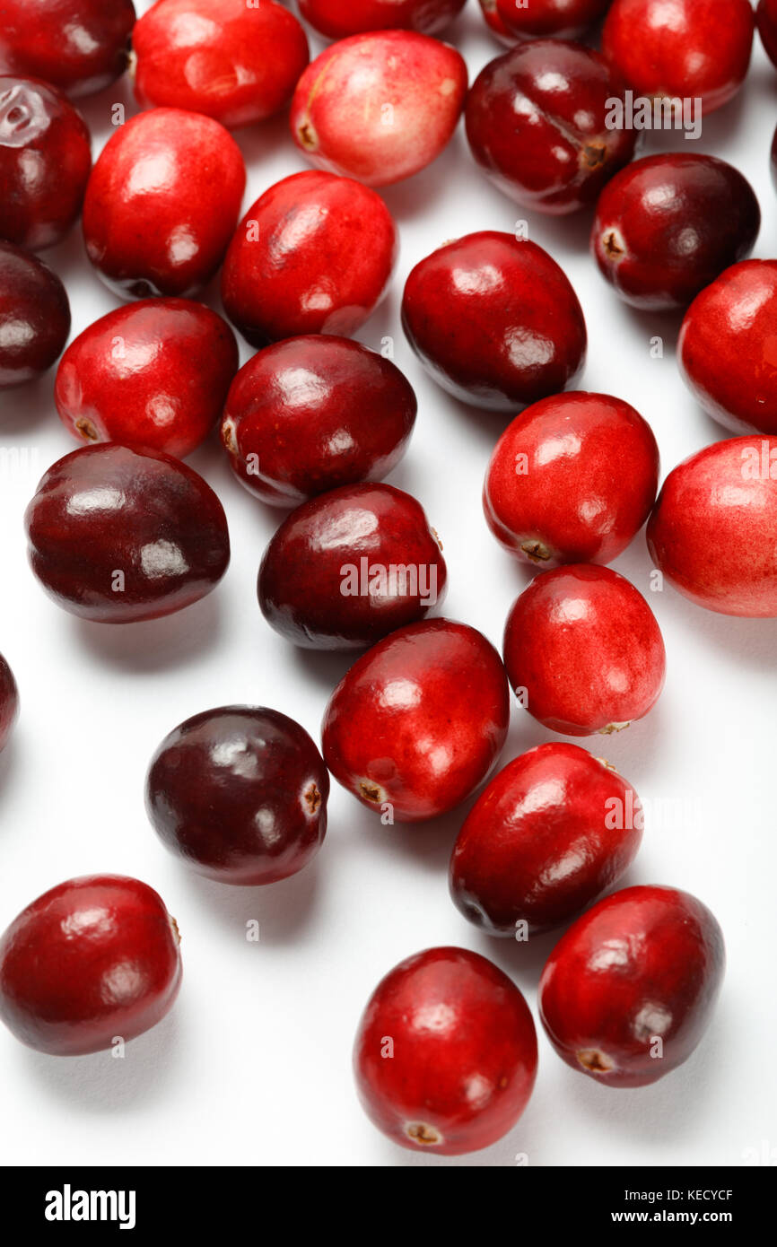 Red fresh raw cranberry. produce at bc canada Stock Photo - Alamy