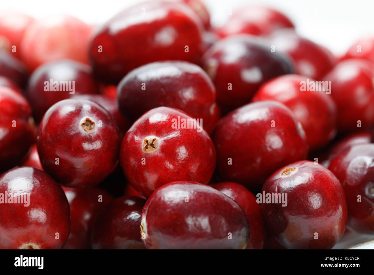 Red fresh raw cranberry. produce at bc canada Stock Photo - Alamy