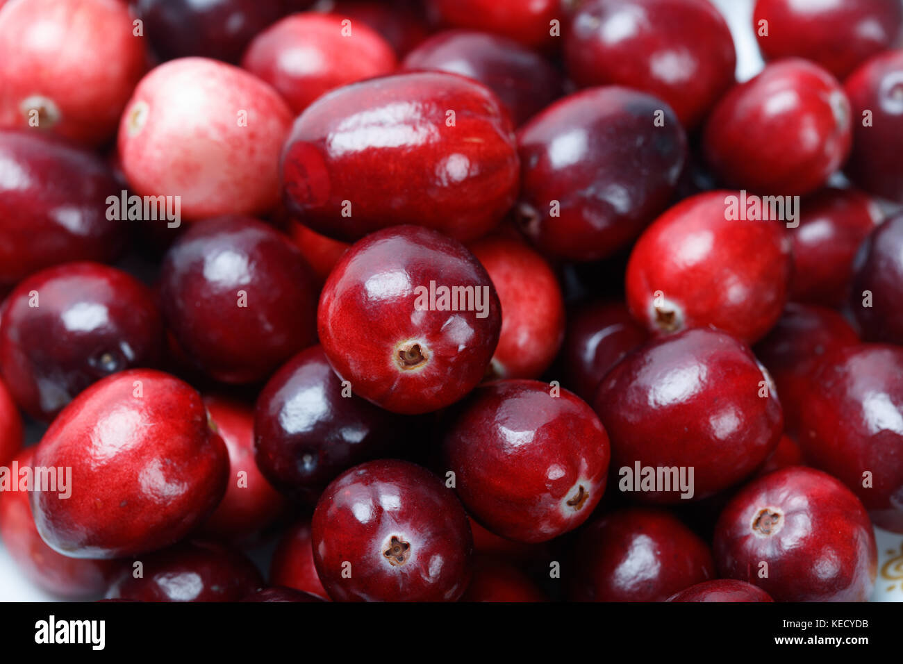 Red fresh raw cranberry. produce at bc canada Stock Photo - Alamy