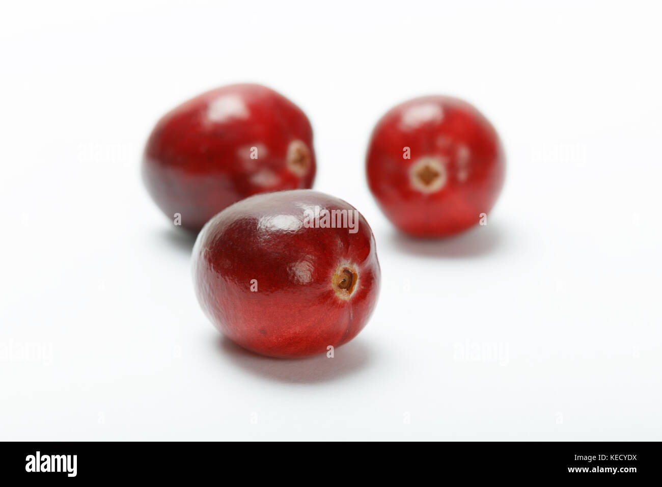 Red fresh raw cranberry isolated on white background. produce at bc ...
