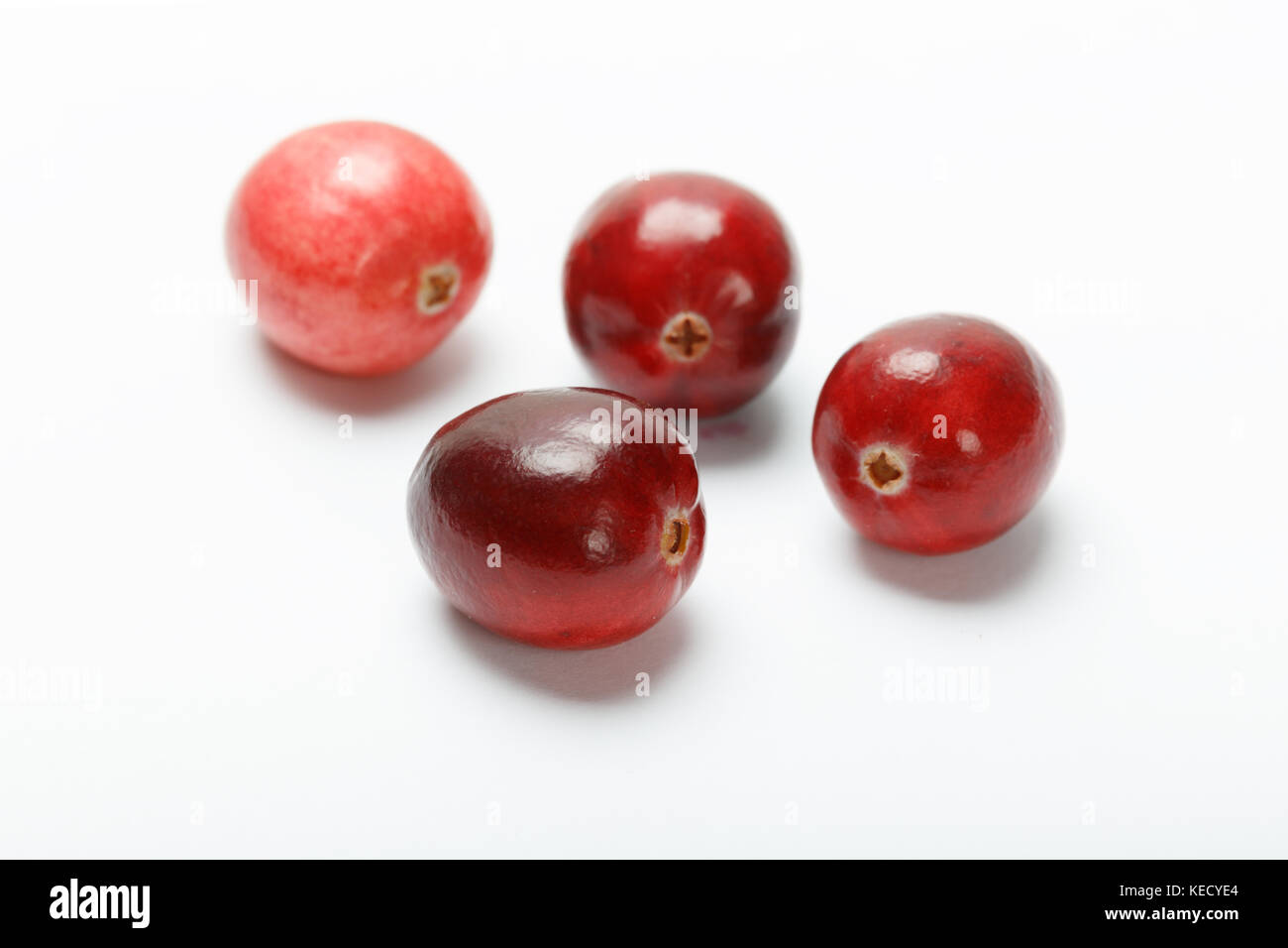 Red fresh raw cranberry isolated on white background. produce at bc ...