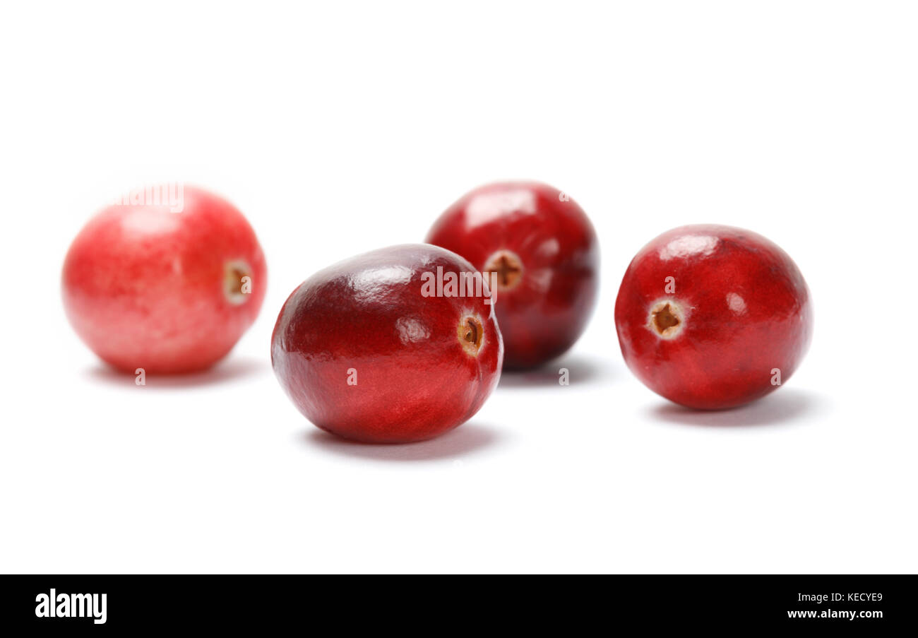 Red fresh raw cranberry isolated on white background. produce at bc ...