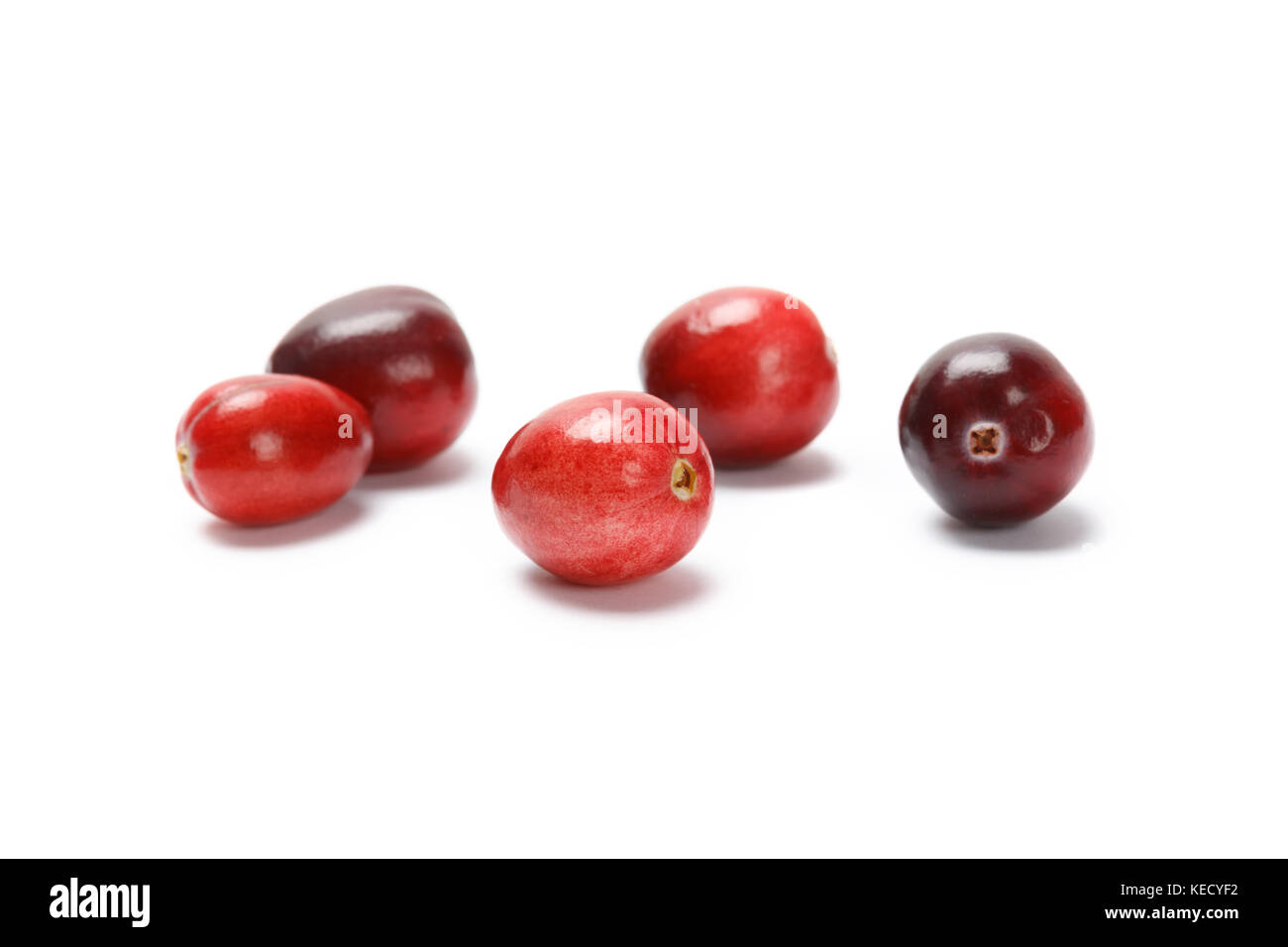 Red fresh raw cranberry isolated on white background. produce at bc ...