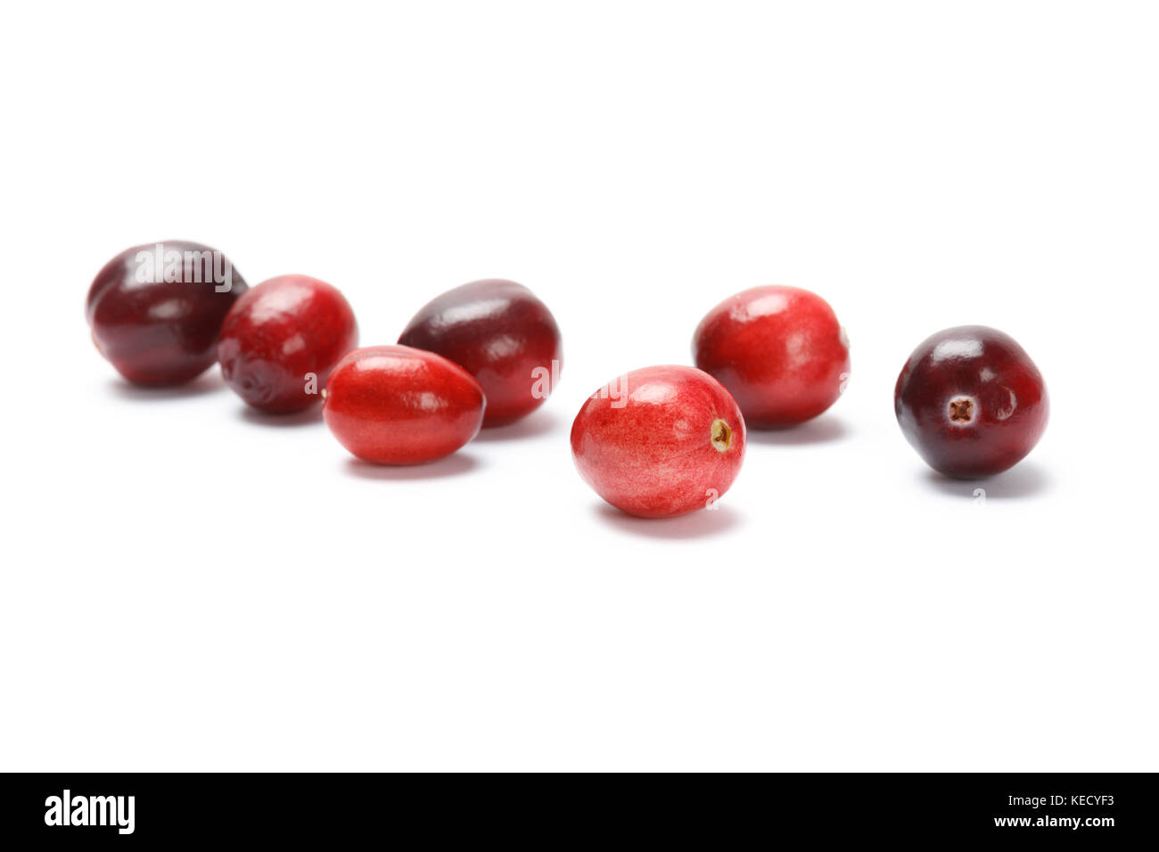 Red fresh raw cranberry isolated on white background. produce at bc ...