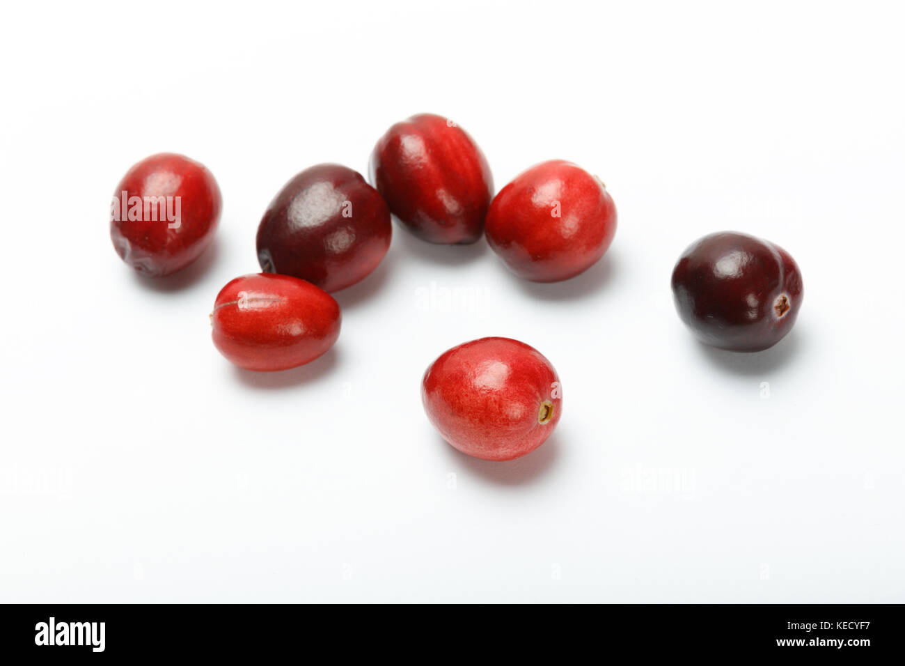 Red fresh raw cranberry isolated on white background. produce at bc ...