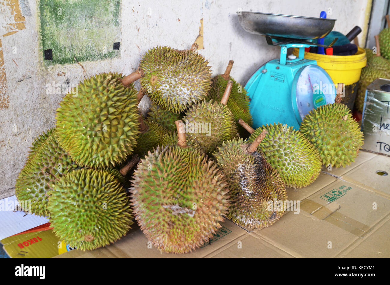 Durian Shape High Resolution Stock Photography and Images - Alamy