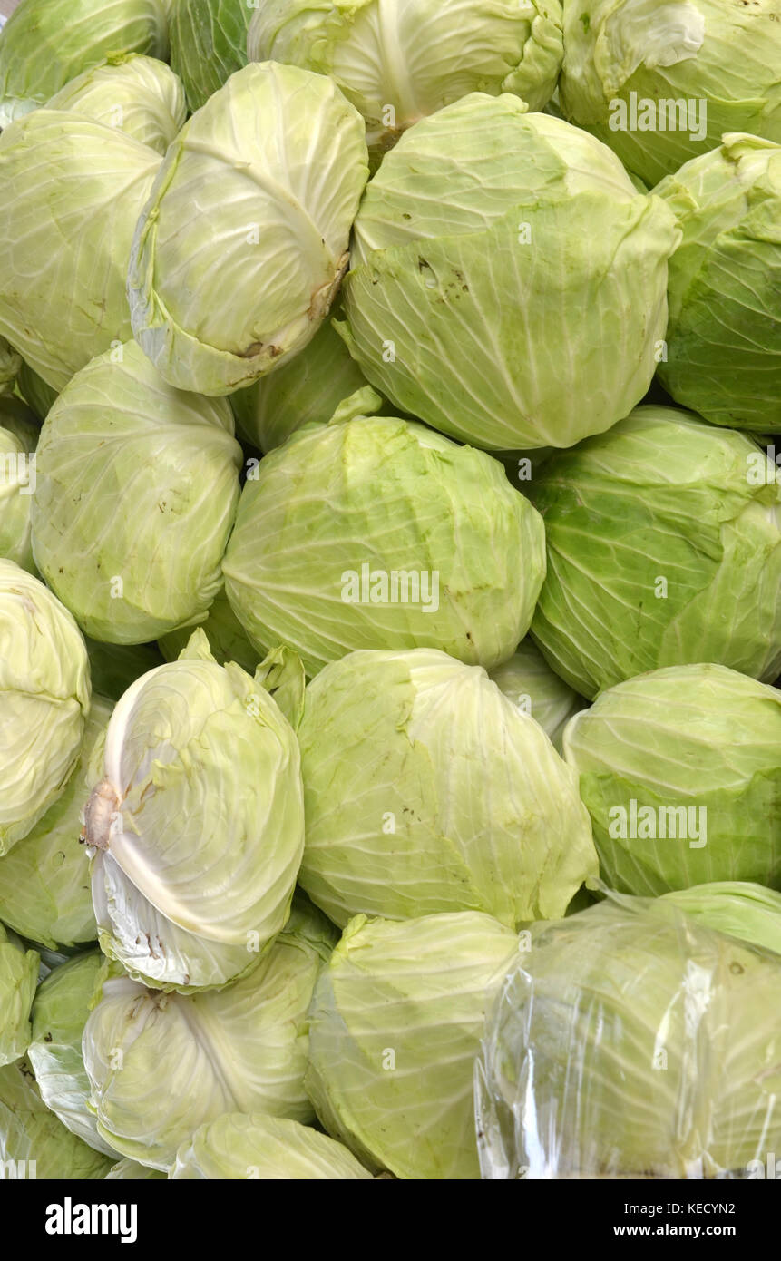 Cabbage on sale in the market Stock Photo - Alamy