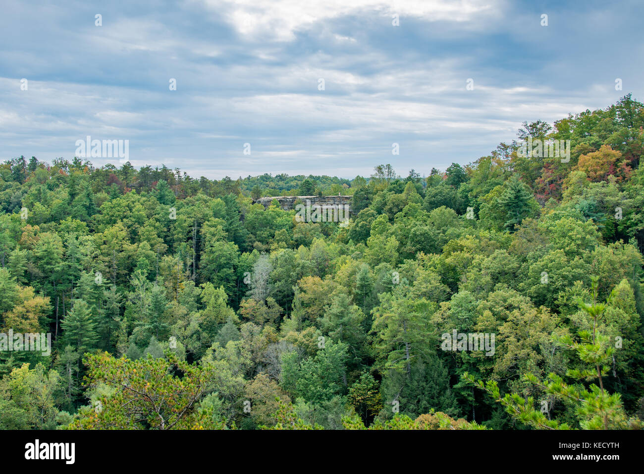 Natural Bridge State Resort Park in Kentucky USA Stock Photo - Alamy