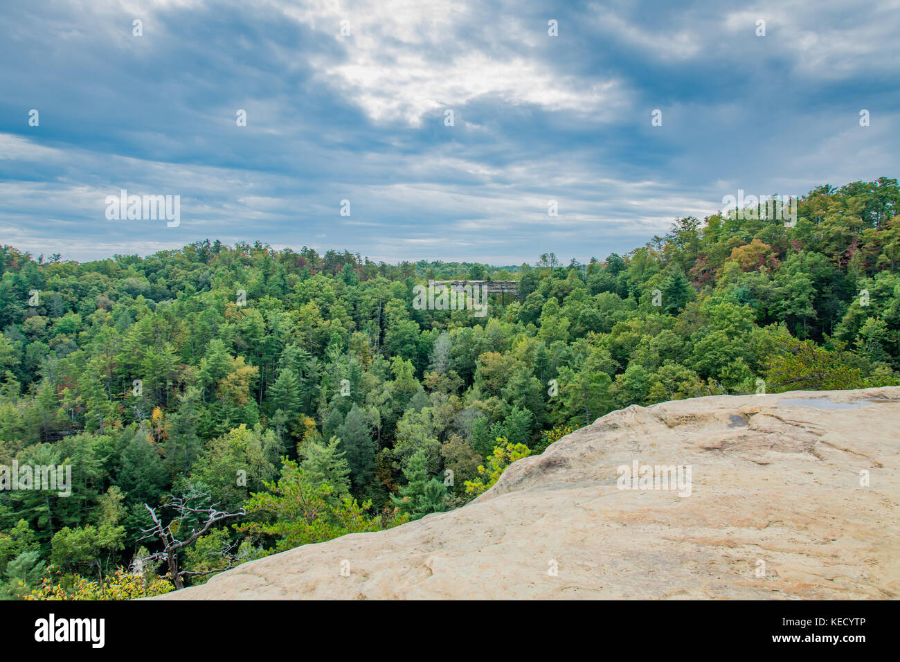 Natural Bridge State Resort Park in Kentucky USA Stock Photo - Alamy