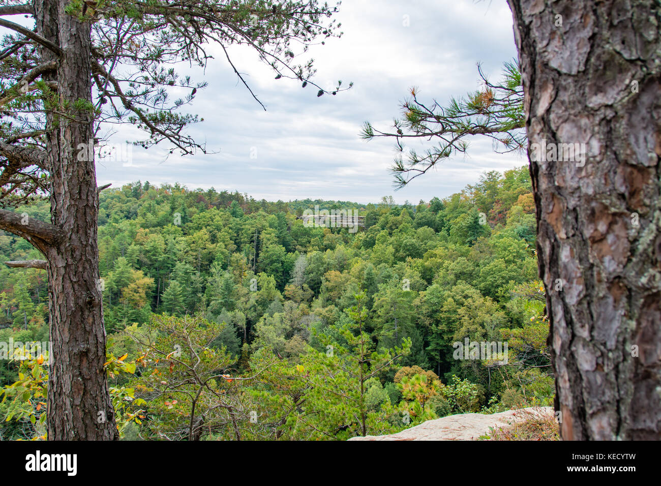 Natural Bridge State Resort Park in Kentucky USA Stock Photo - Alamy