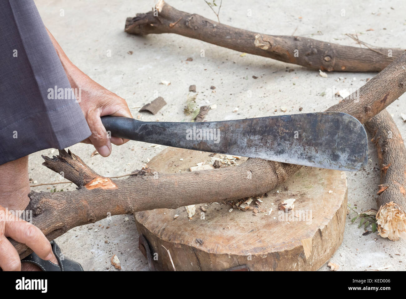Logger man cutting wood Stock Photo - Alamy