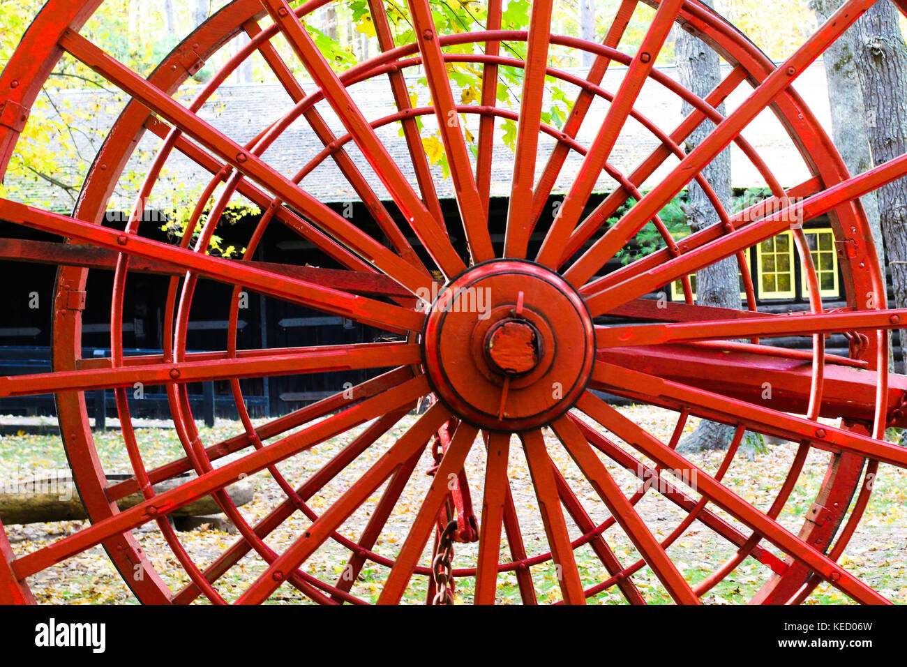 A big wheel on display infant of a logging museum and log cabin that ...