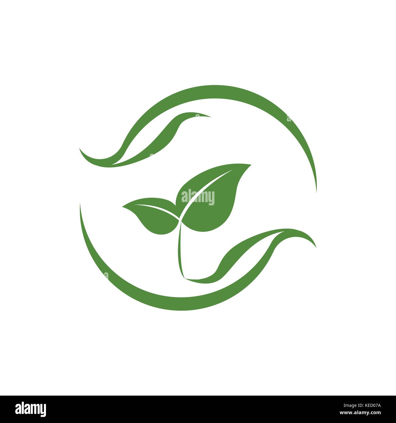 Eco-Friendly Leaf Balance Stock Vector Image & Art - Alamy