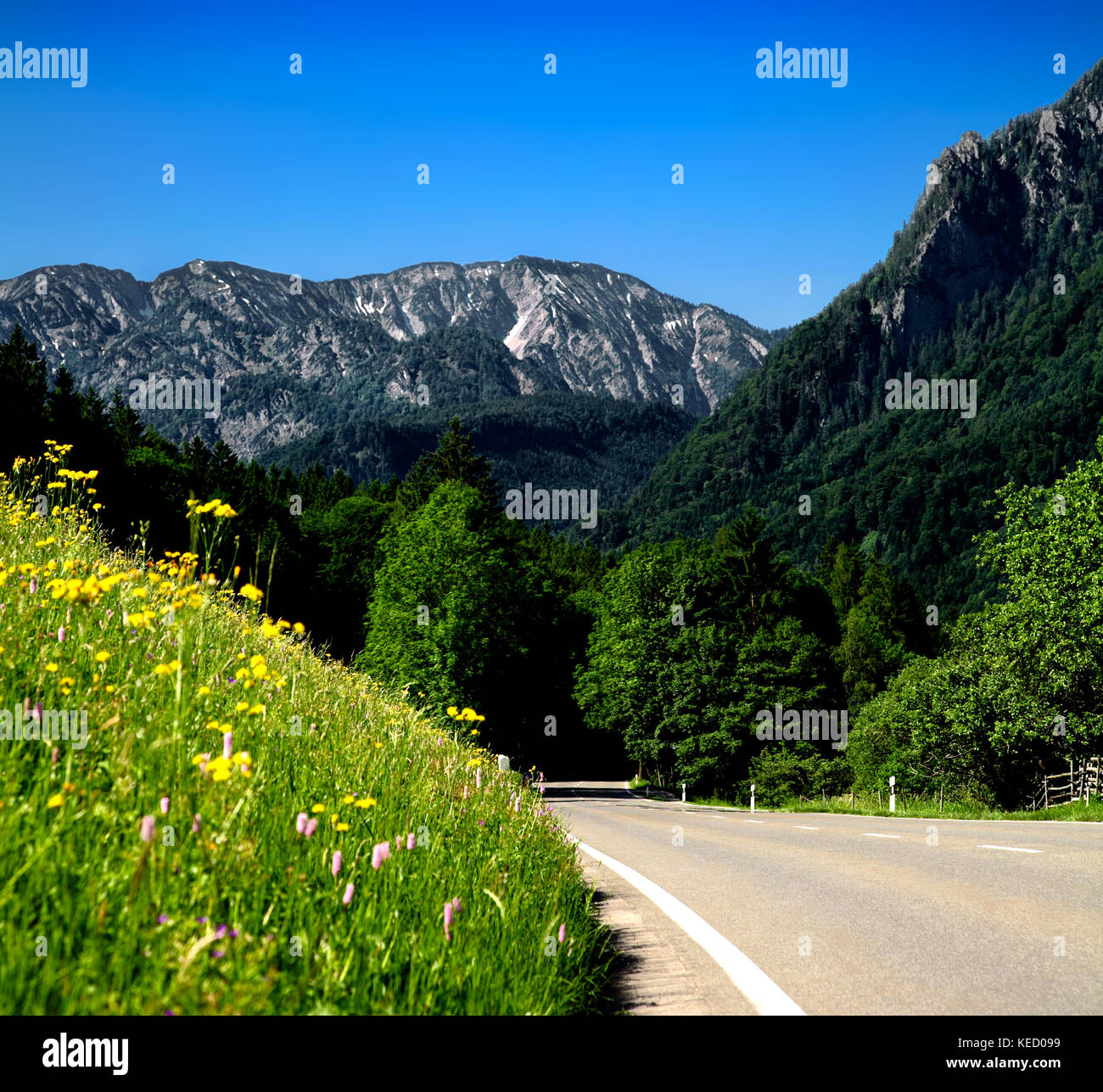 Bavarian alpine road hi-res stock photography and images - Alamy