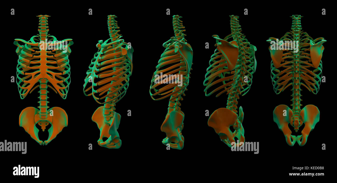 3d illustration of walking fire skeleton by X-rays on background Stock ...