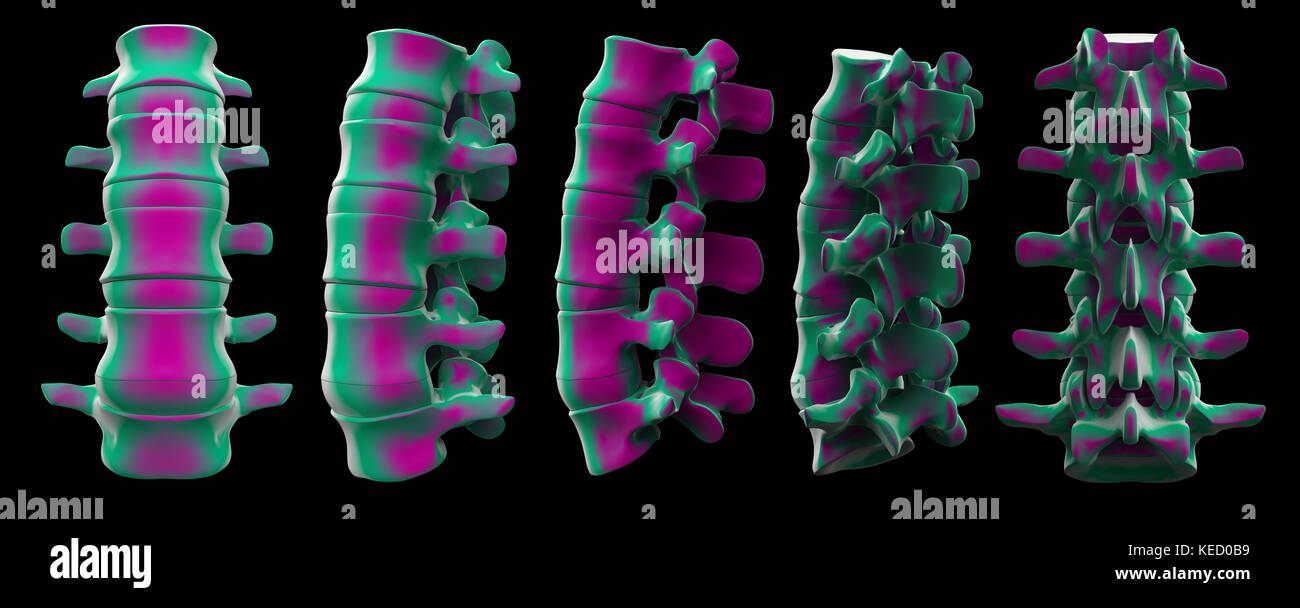 3d rendering of spine structure on black background Stock Photo - Alamy