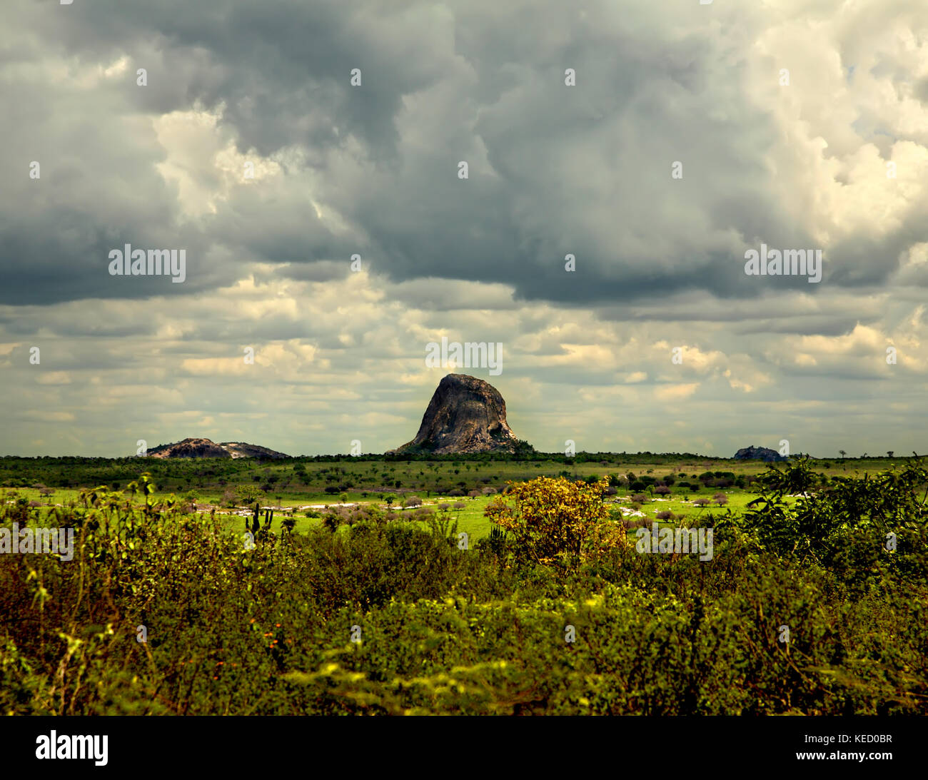 Bahian sertao hi-res stock photography and images - Alamy