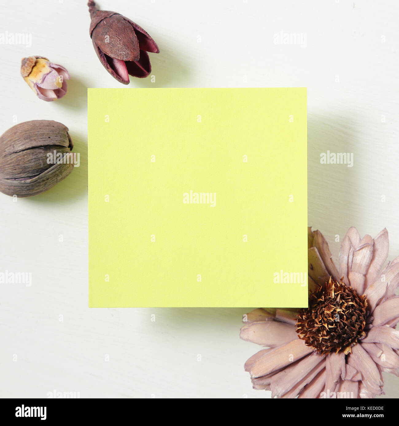 Reminder sticky notes with flower on white background Stock Photo - Alamy