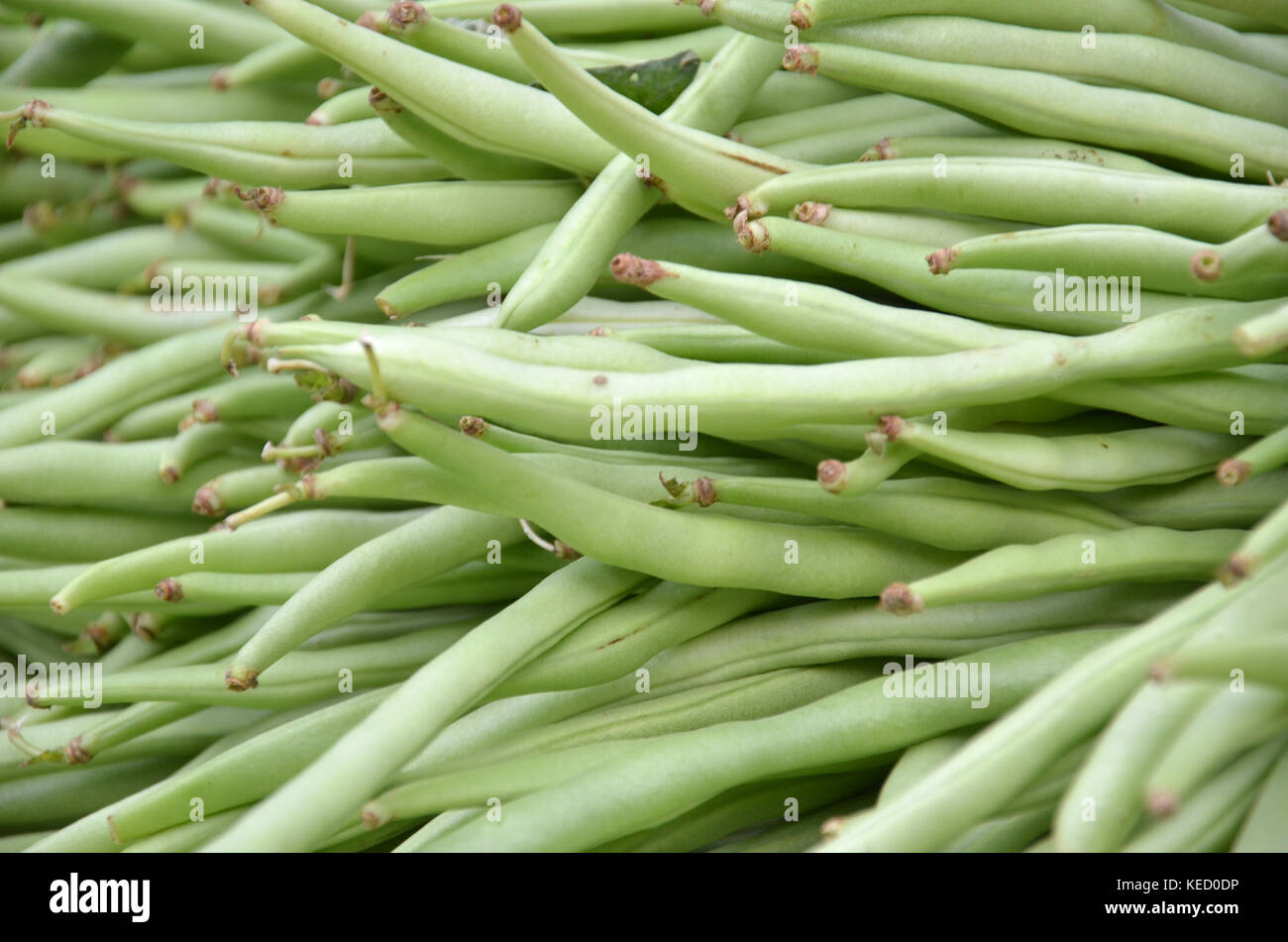 French stall singapore hi-res stock photography and images - Alamy