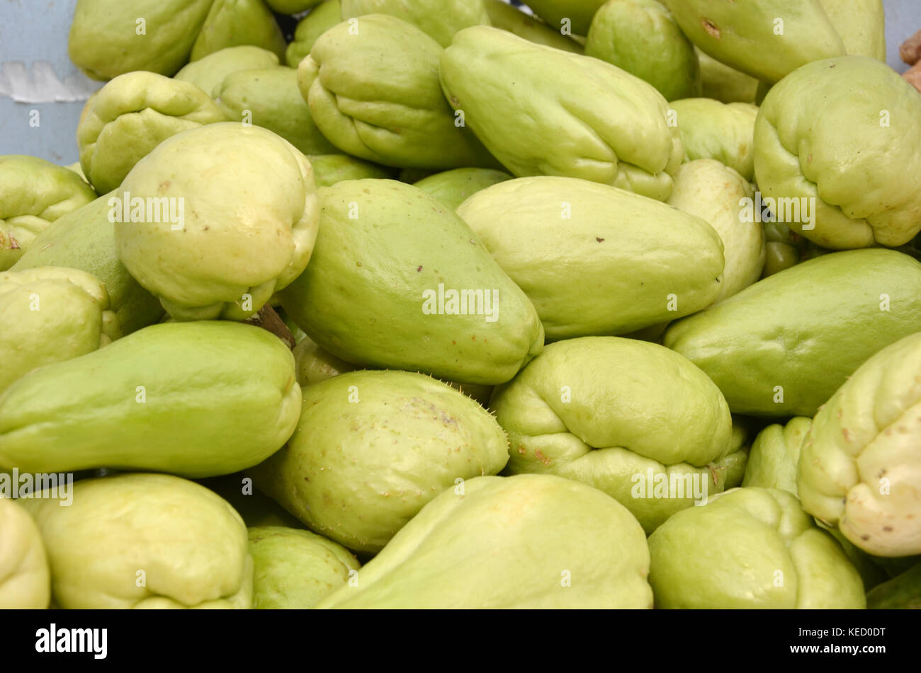 Chayote fruits hi-res stock photography and images - Alamy