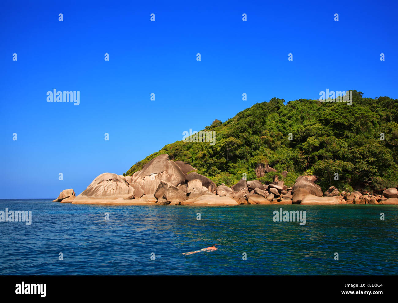 Snorkeling, Ko Similan Island, Mu Ko Similan National Park, Similan ...