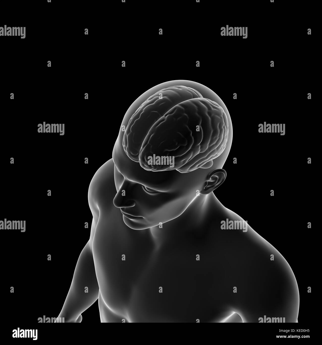 Human brain neuron Black and White Stock Photos & Images - Alamy