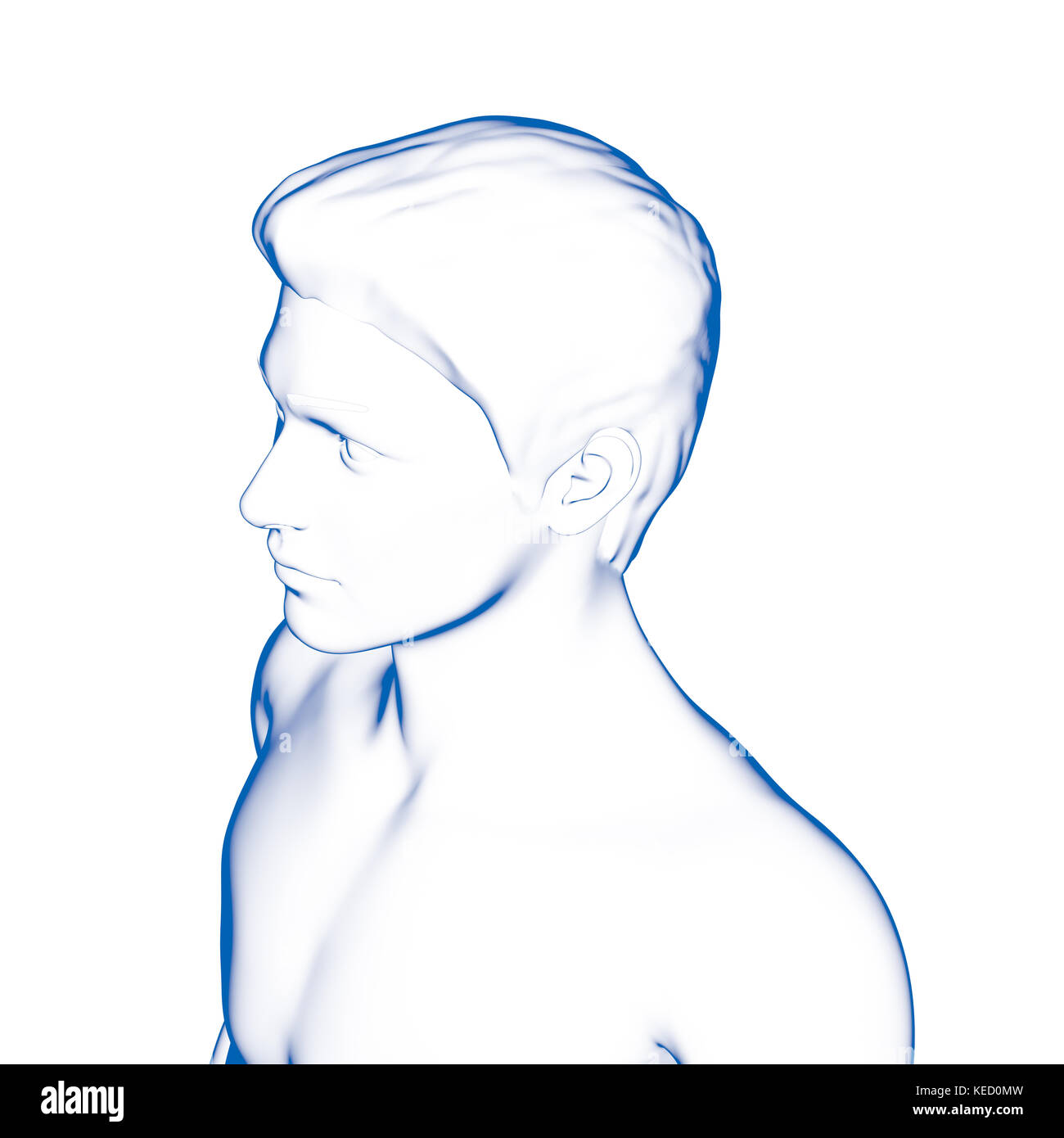 Human Male Body Shape Stock Photo - Alamy