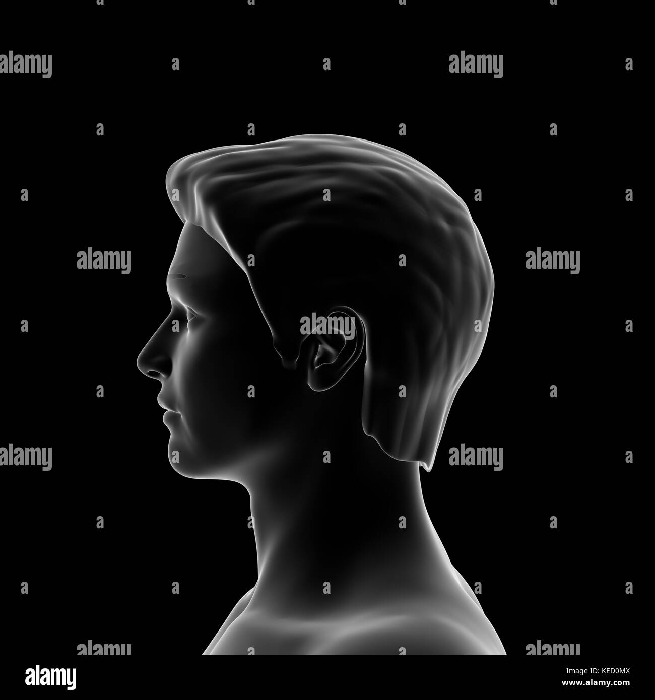 Human Male Body Shape Stock Photo - Alamy