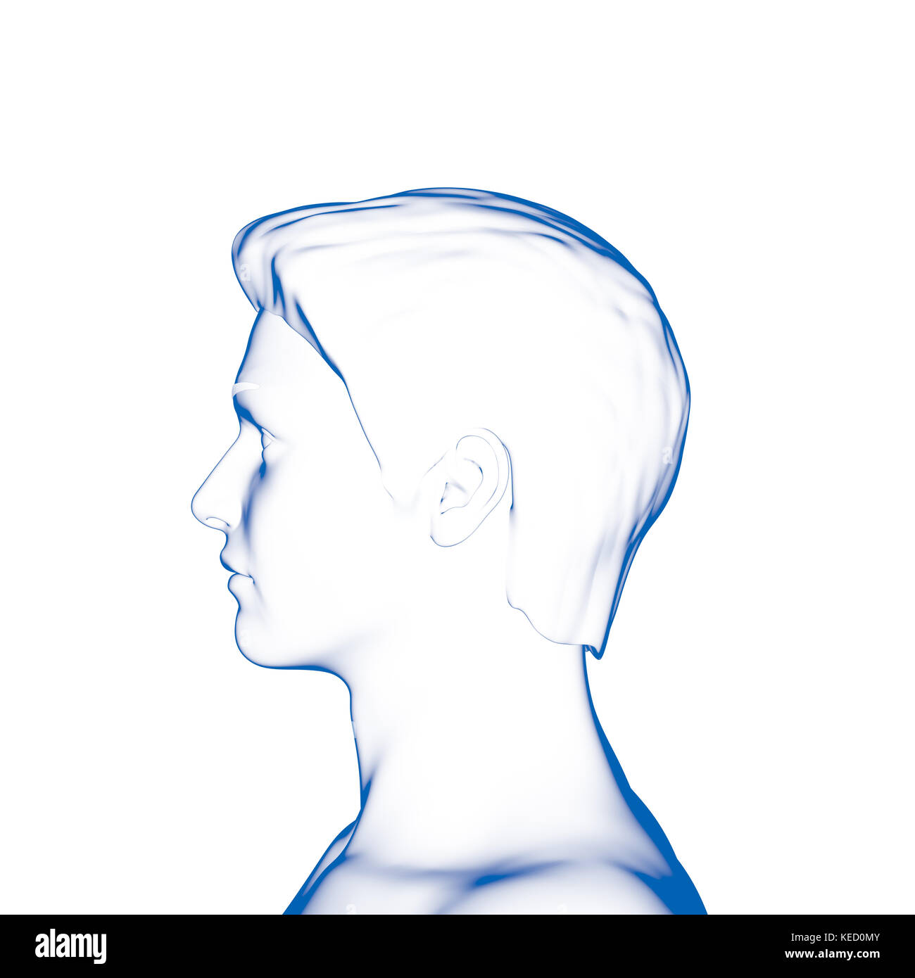 Human Male Body Shape Stock Photo - Alamy