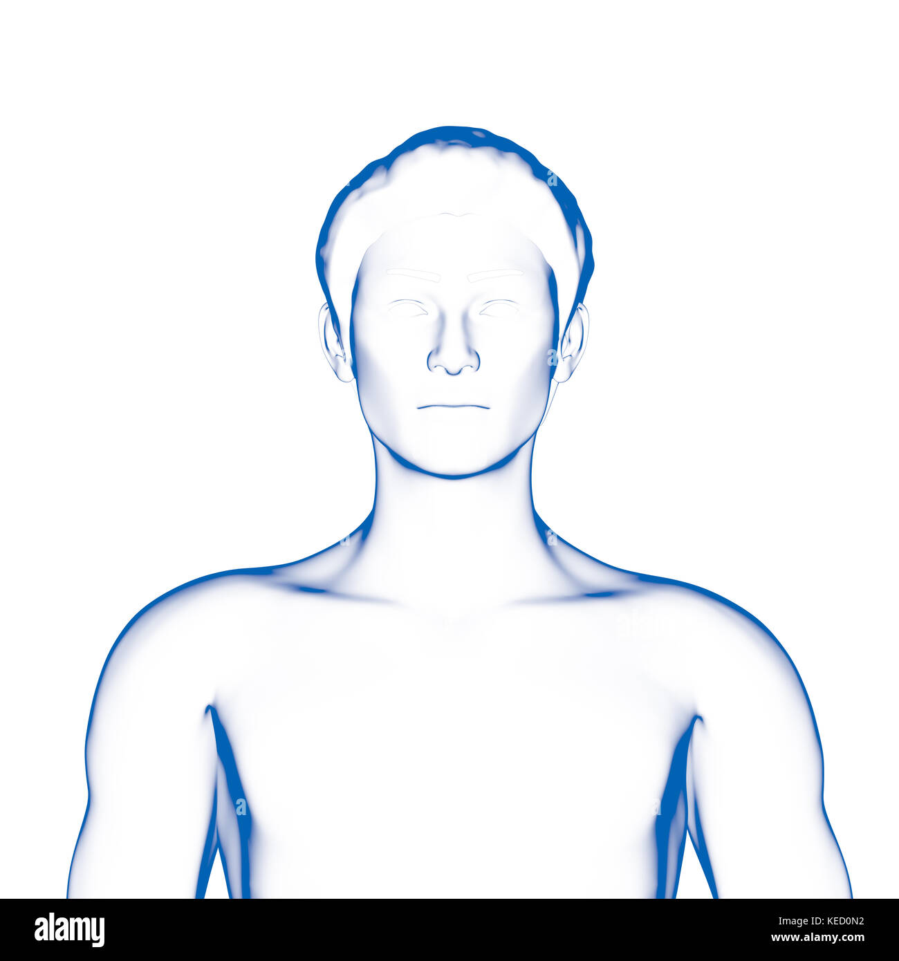 Human Male Body Shape Stock Photo - Alamy