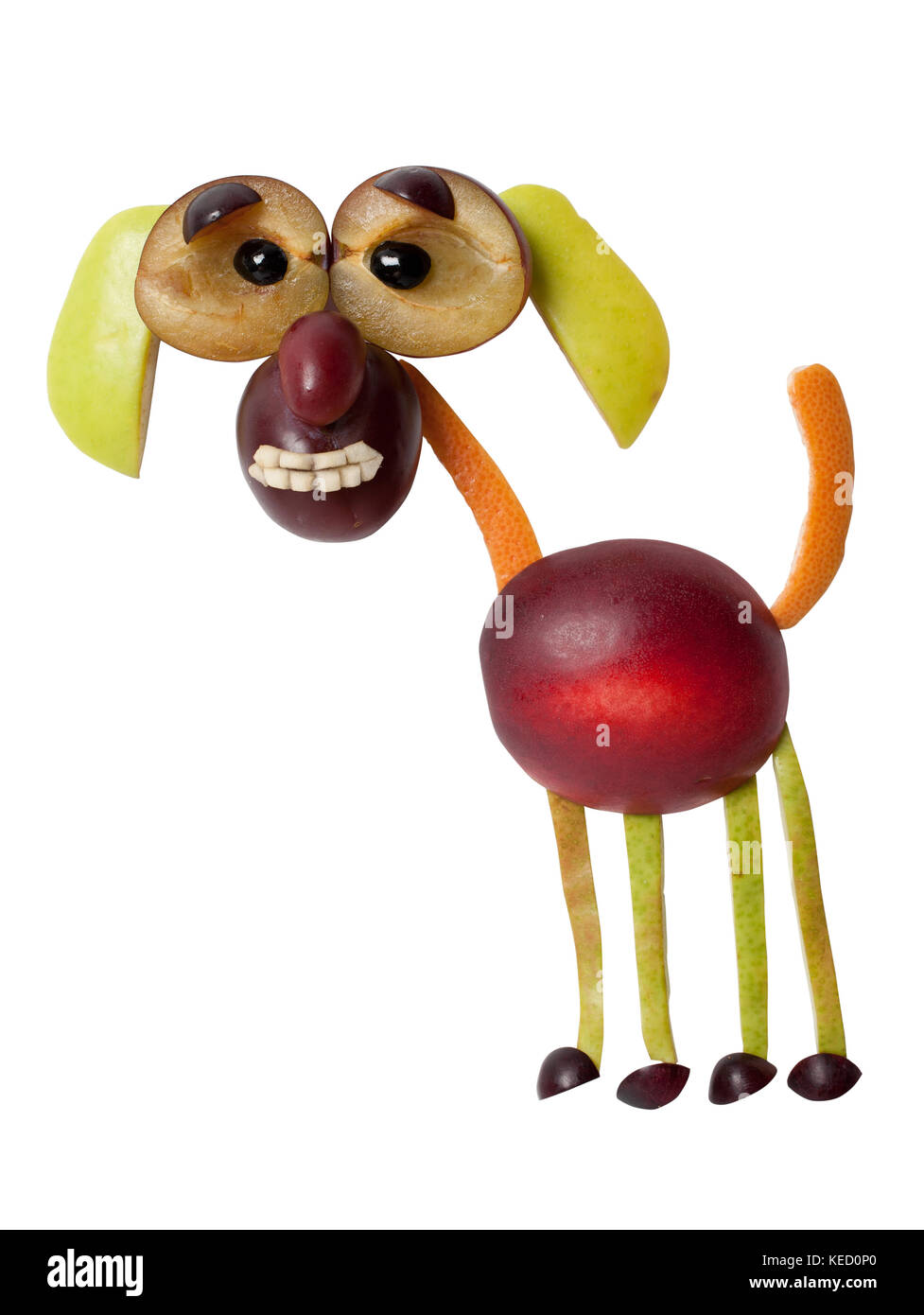 Dog made of fruits on isolated background Stock Photo - Alamy