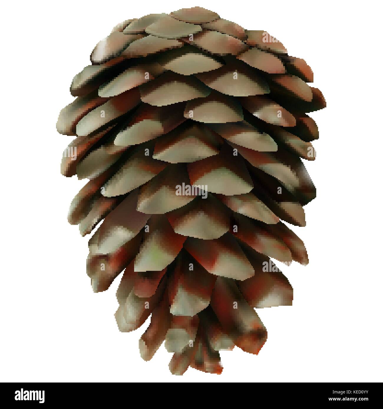 Natural background one dry Stock Vector Images - Alamy