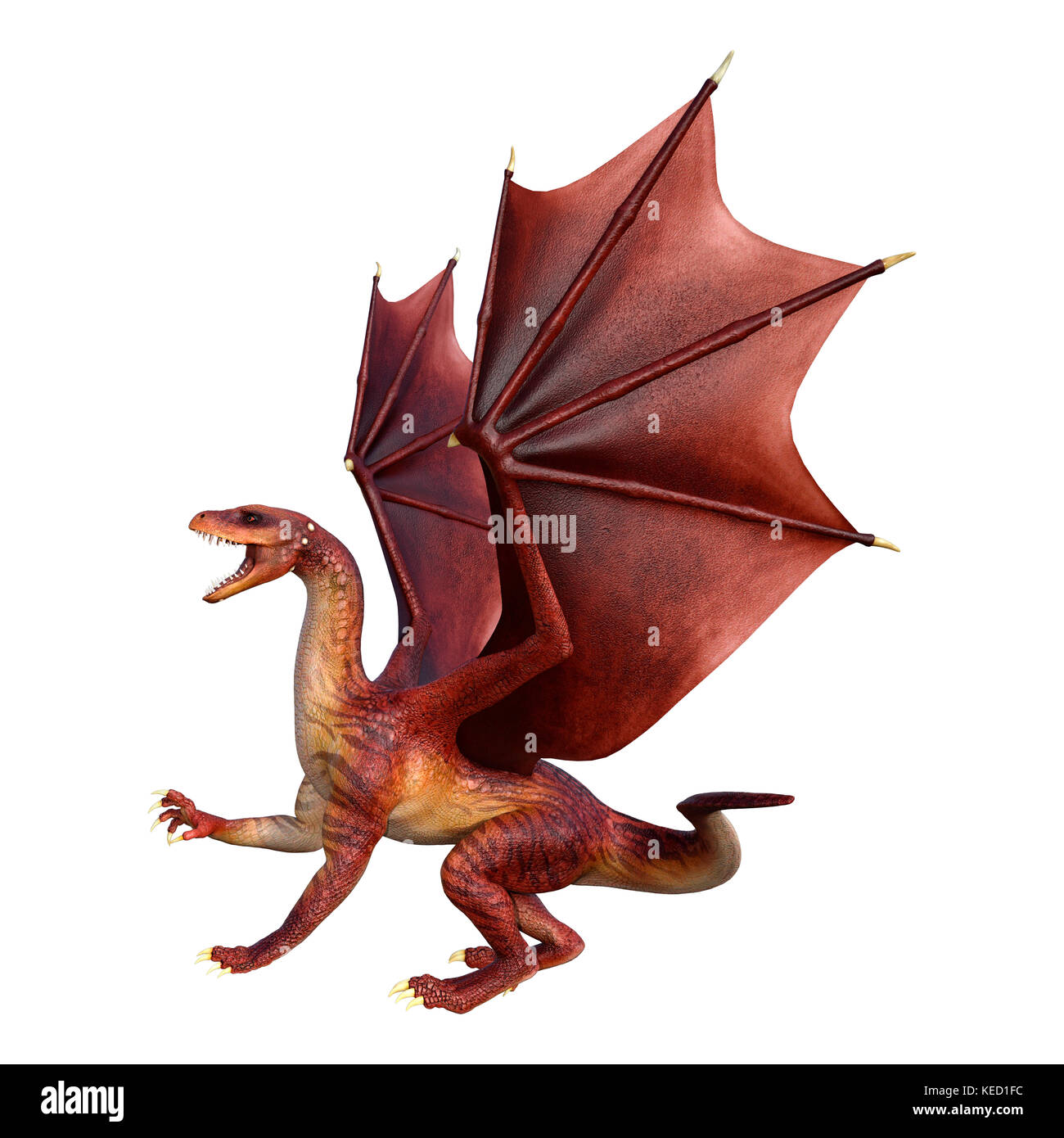 3D rendering of a red fantasy dragon isolated on white background Stock ...