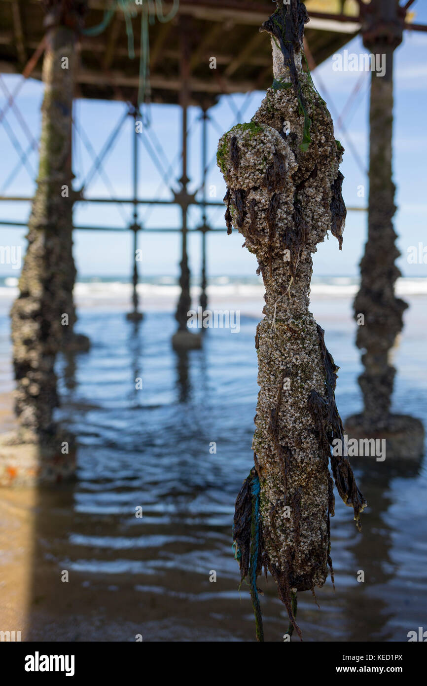 Cast iron pillars hi-res stock photography and images - Alamy