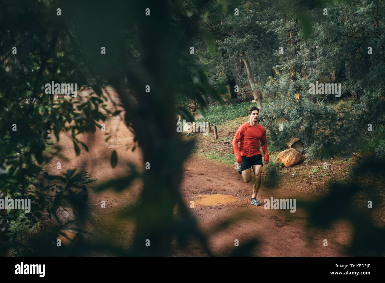 Athlete running on mud track in a park. Man running in park seen ...