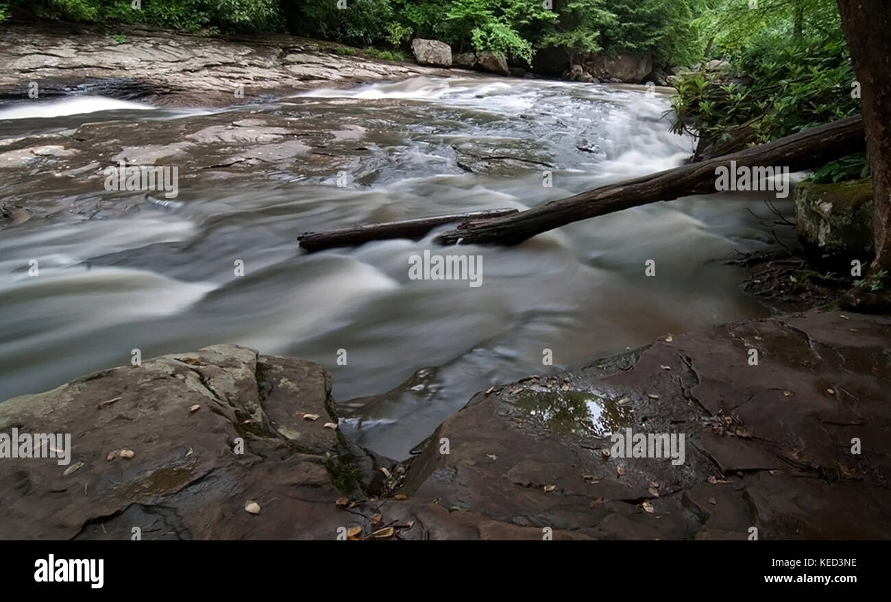 A mountain stream flowing through the forest over rocks Stock Photo - Alamy