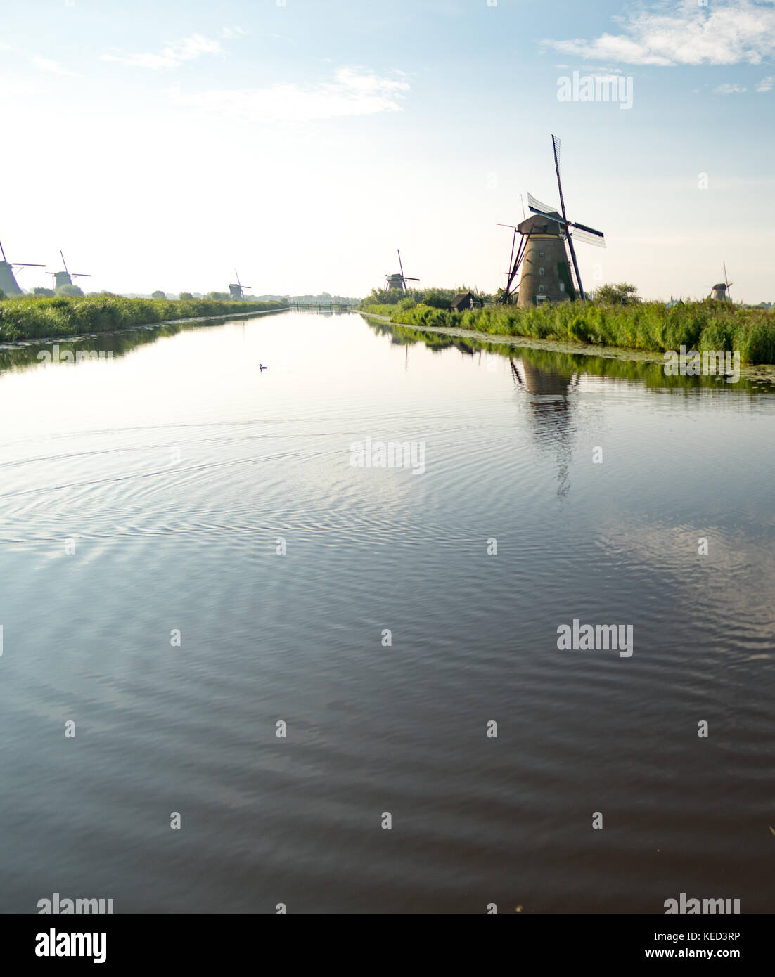 Windmill with duck Stock Photo - Alamy