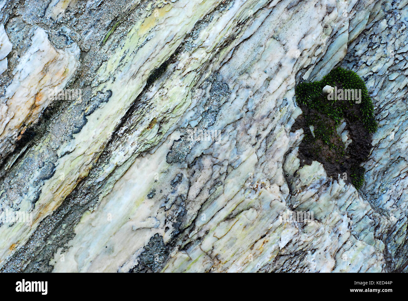 Picture of a colorful Wet stone background Stock Photo - Alamy