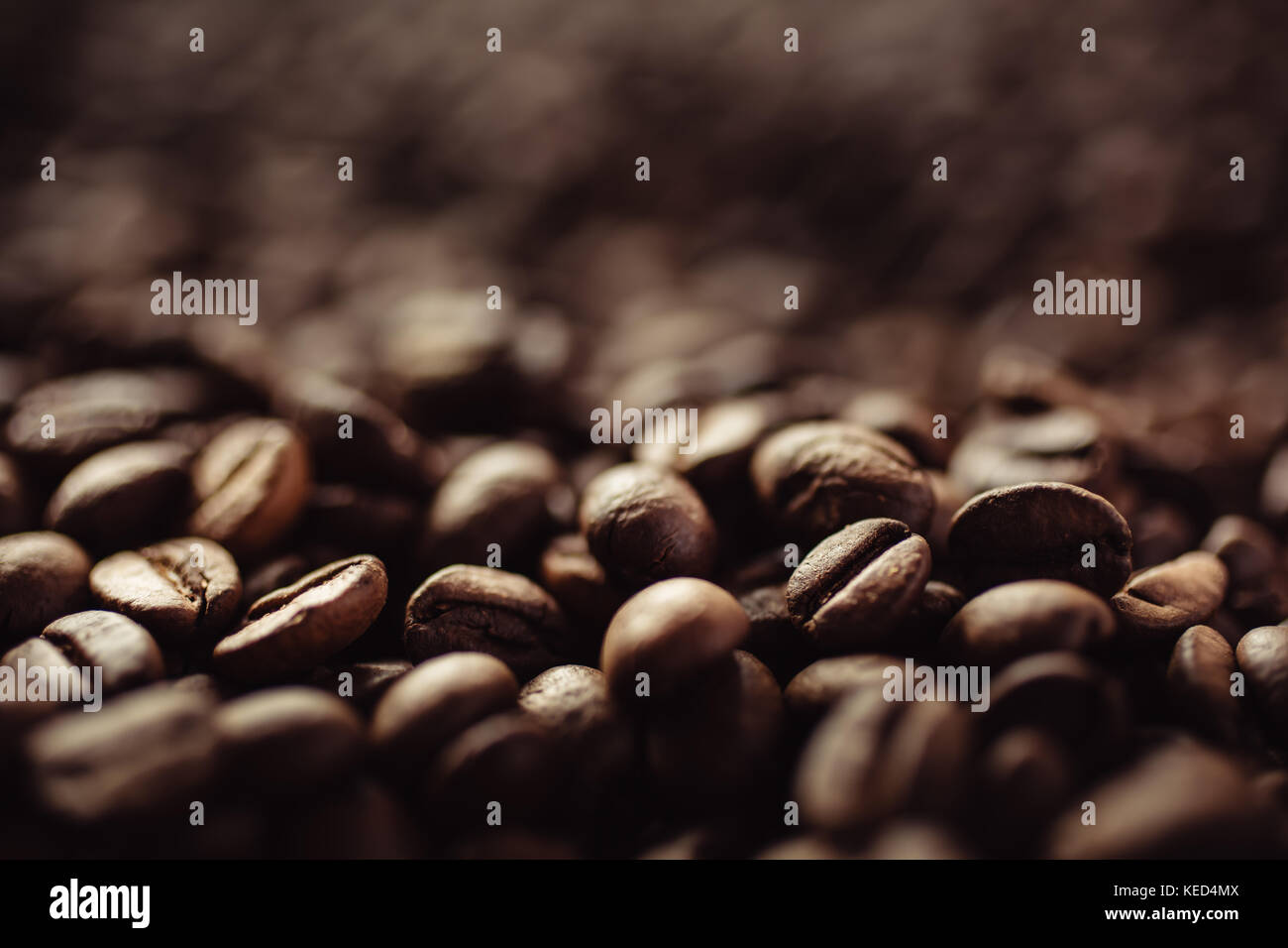 Closeup shot of coffee beans with select focus and blur background ...