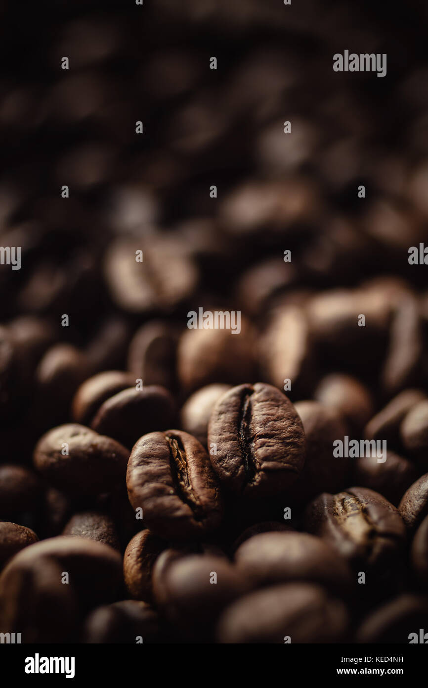 Closeup shot of coffee beans with select focus and blur background ...