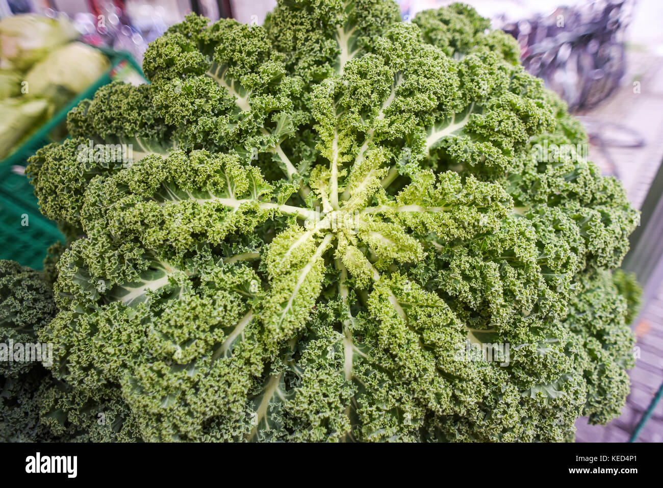 The head of a green kale on the market in full Stock Photo - Alamy