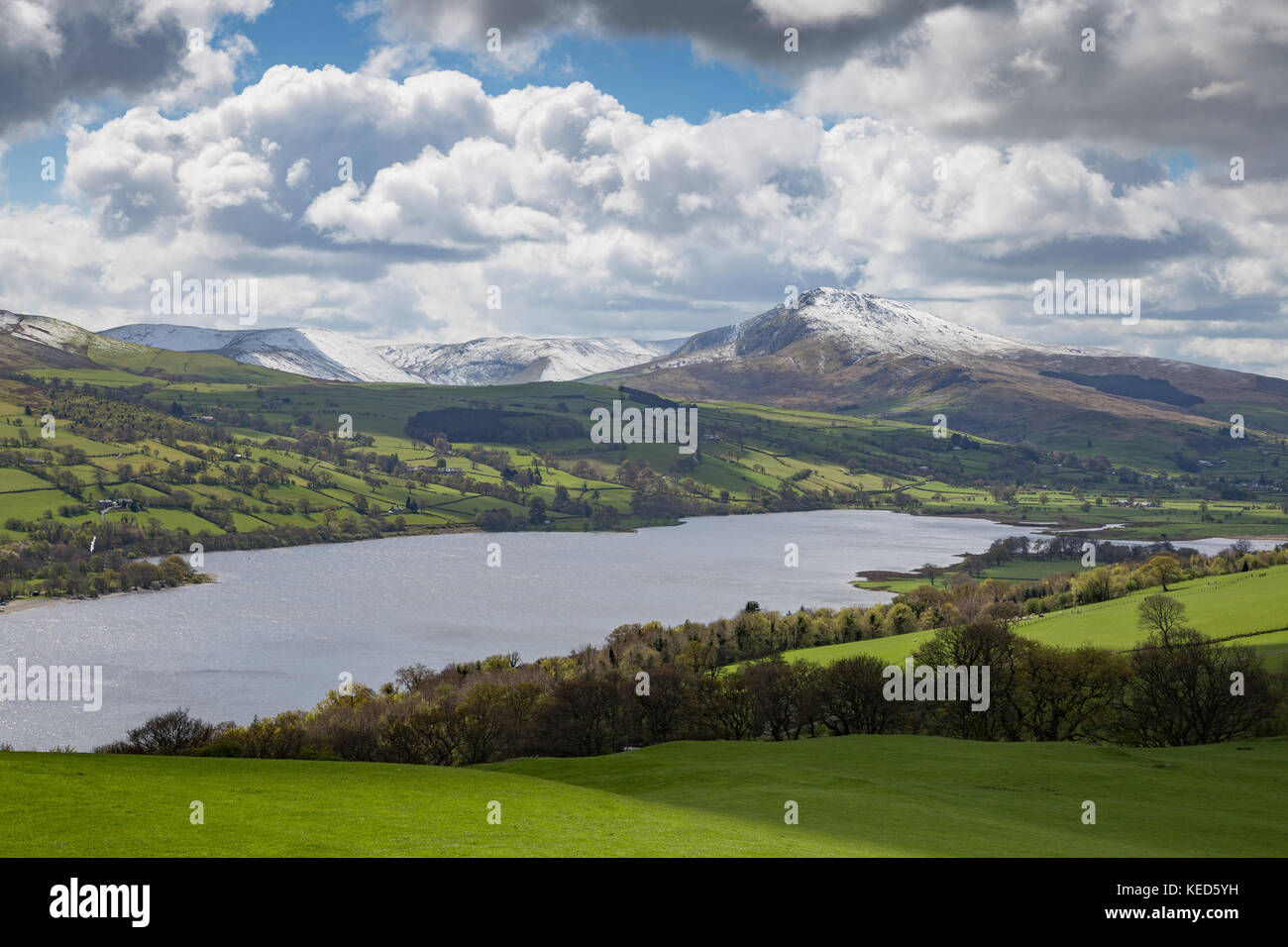 Lyn Tegid and Aran Benllyn Stock Photo - Alamy