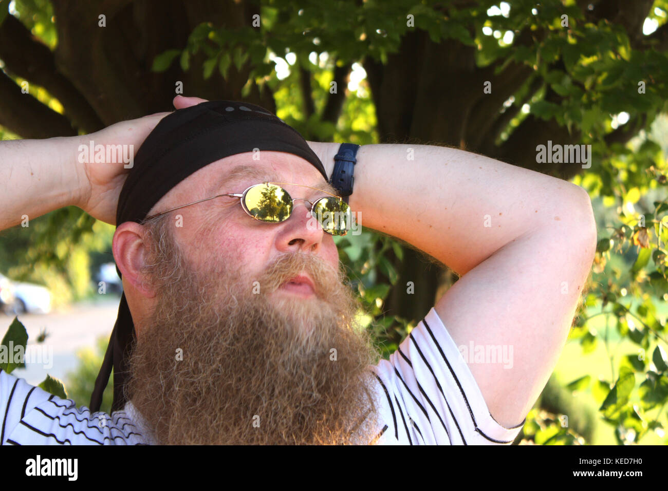 Mann mit langem Bart und Sonnenbrille, Portrait Stock Photo - Alamy