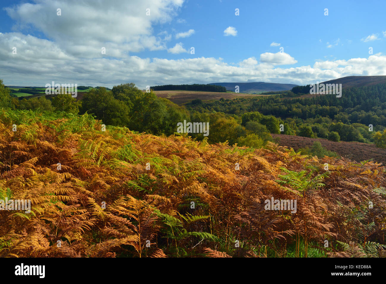 Holystone northumberland hi-res stock photography and images - Alamy